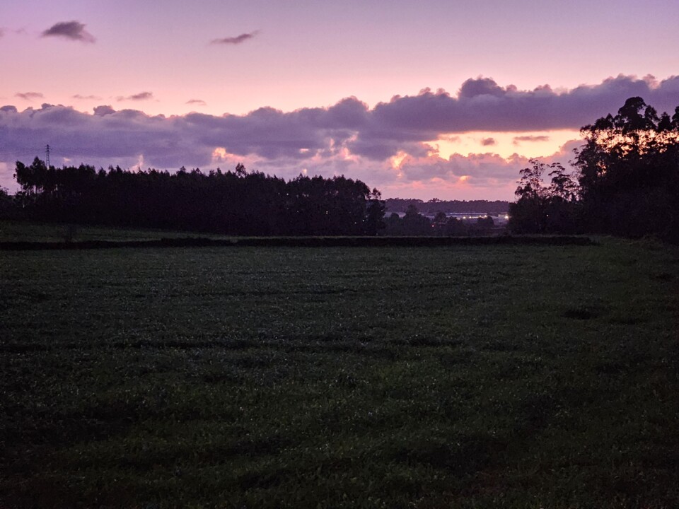 Gente como vós - Carlos Neves Agricultor