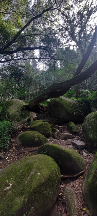O Caminho - Generalidades