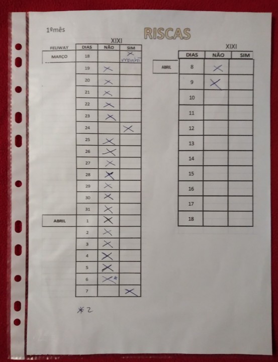 O Riscas é um gato muito parvo - O mundo felino do Riscas e do Rafael