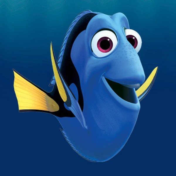 A Dory? Quem é a Dory? Ah sou eu! Eu quem? A Dory! Quem é a Dory ...